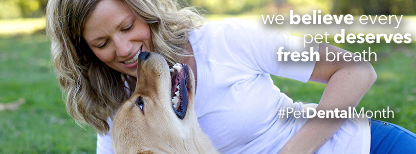 Welcome to The Vet Shed - The Vet Shed - Veterinary and Pet Supplies ...