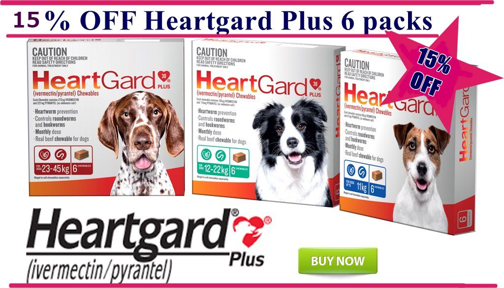 Welcome to The Vet Shed - The Vet Shed - Veterinary and Pet Supplies ...