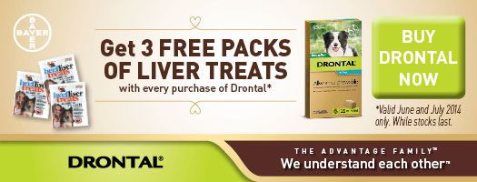 Welcome to The Vet Shed - The Vet Shed - Veterinary and Pet Supplies ...